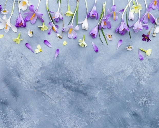 The Three Gunas : Sattva, Rajas & Tamas – chakrapaniayurveda